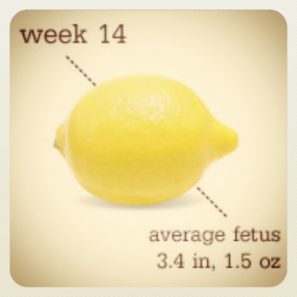 Retroverted Uterus Pregnancy