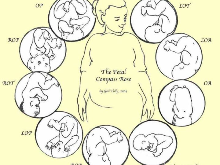 33 Weeks - Intense 3rd Trimester Pregnant Nesting