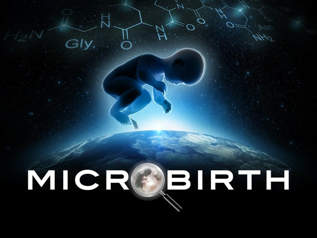 Birth Documentaries for Parents and the Birth Curious