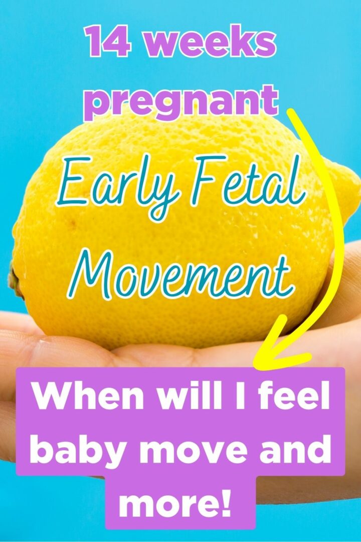 14 Weeks Pregnant: Baby Bump and Fetal Movement